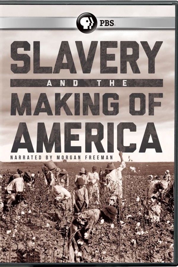 Wild About Movies - » Slavery and the Making of America DVD